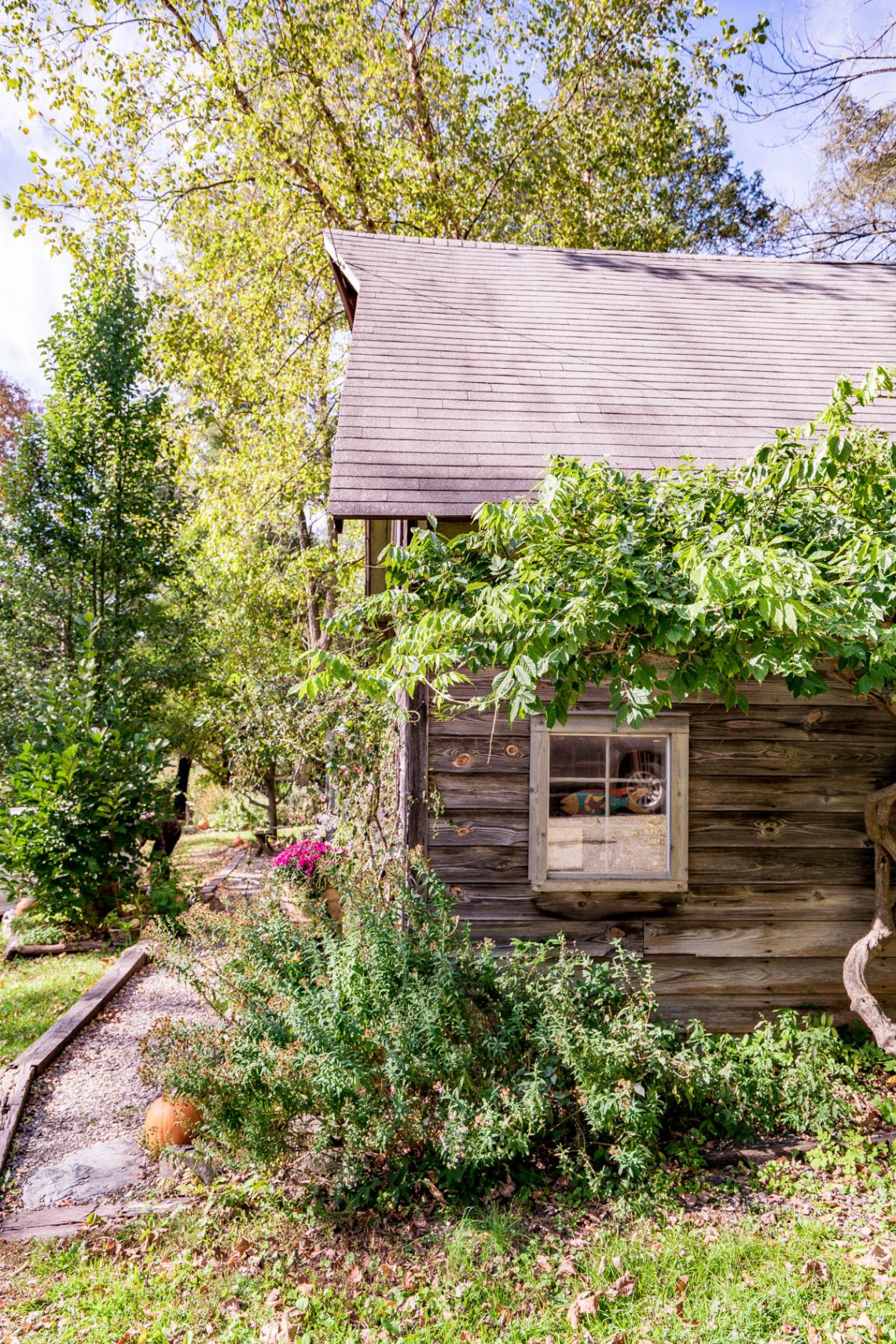 How to Fall in Love in Hillsdale, New York: Rodgers Book Barn