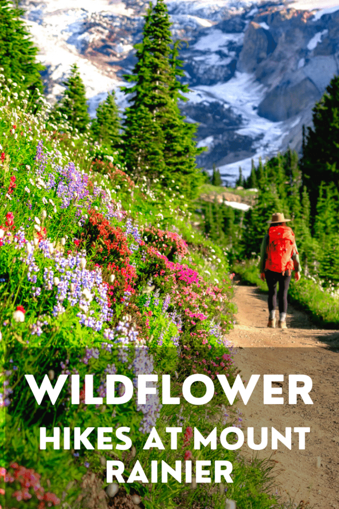10+ EPIC WILDFLOWER Hikes at MT. RAINIER National Park (+Photos)