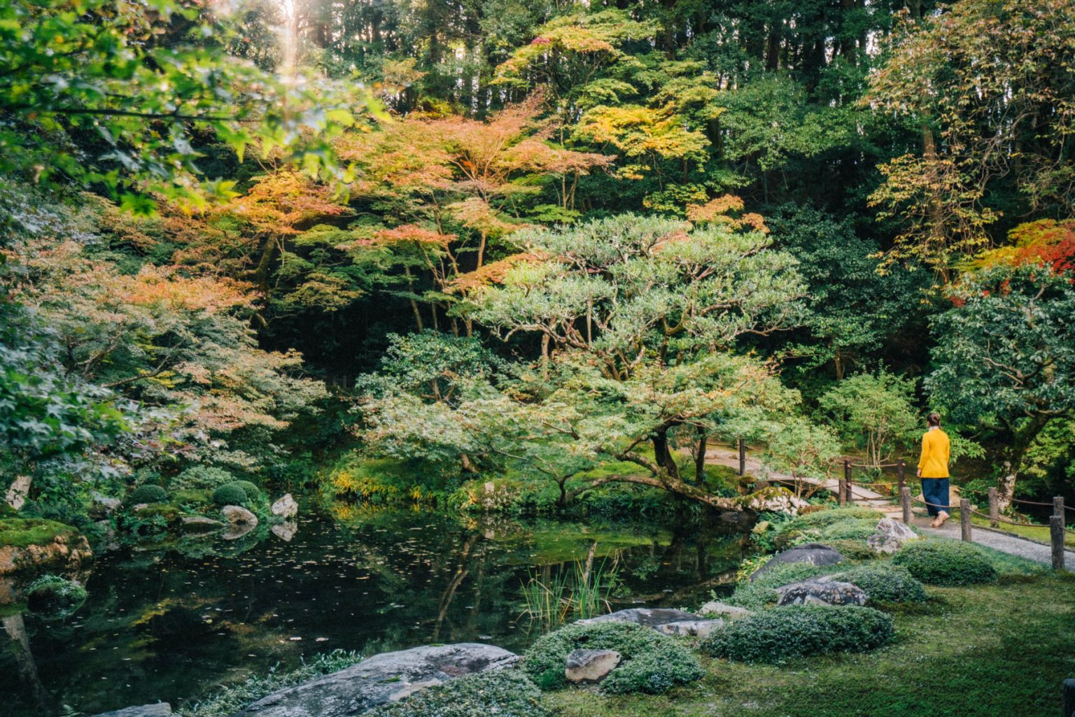 The Magic of Kyoto in the Fall (10 Best Places to Visit)