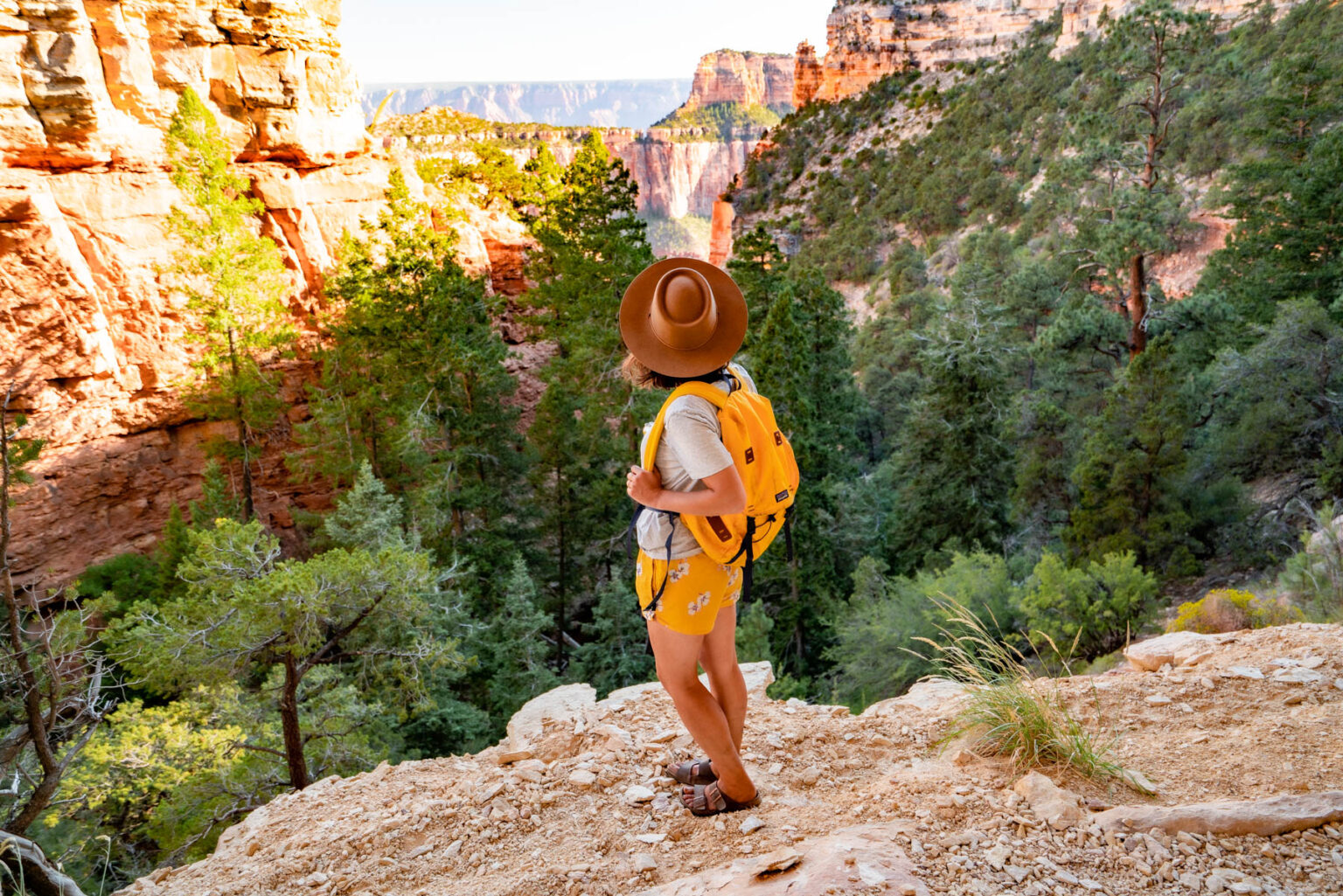 5 BREATHTAKING Grand Canyon NORTH RIM HIKES (+Tips)