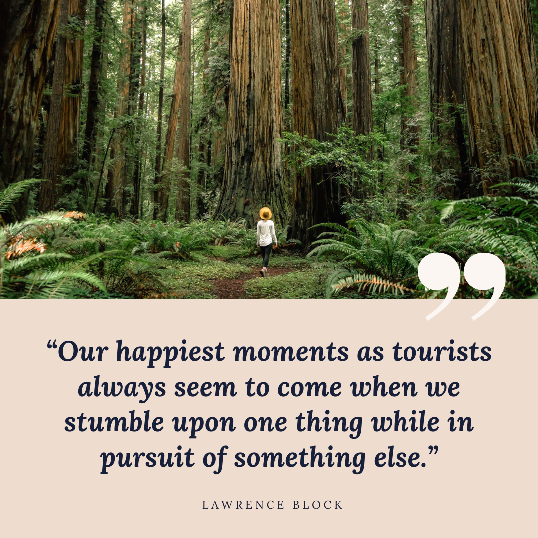 70+ Most (Inspirational) TRAVEL Quotes -- You Need These in Your Life