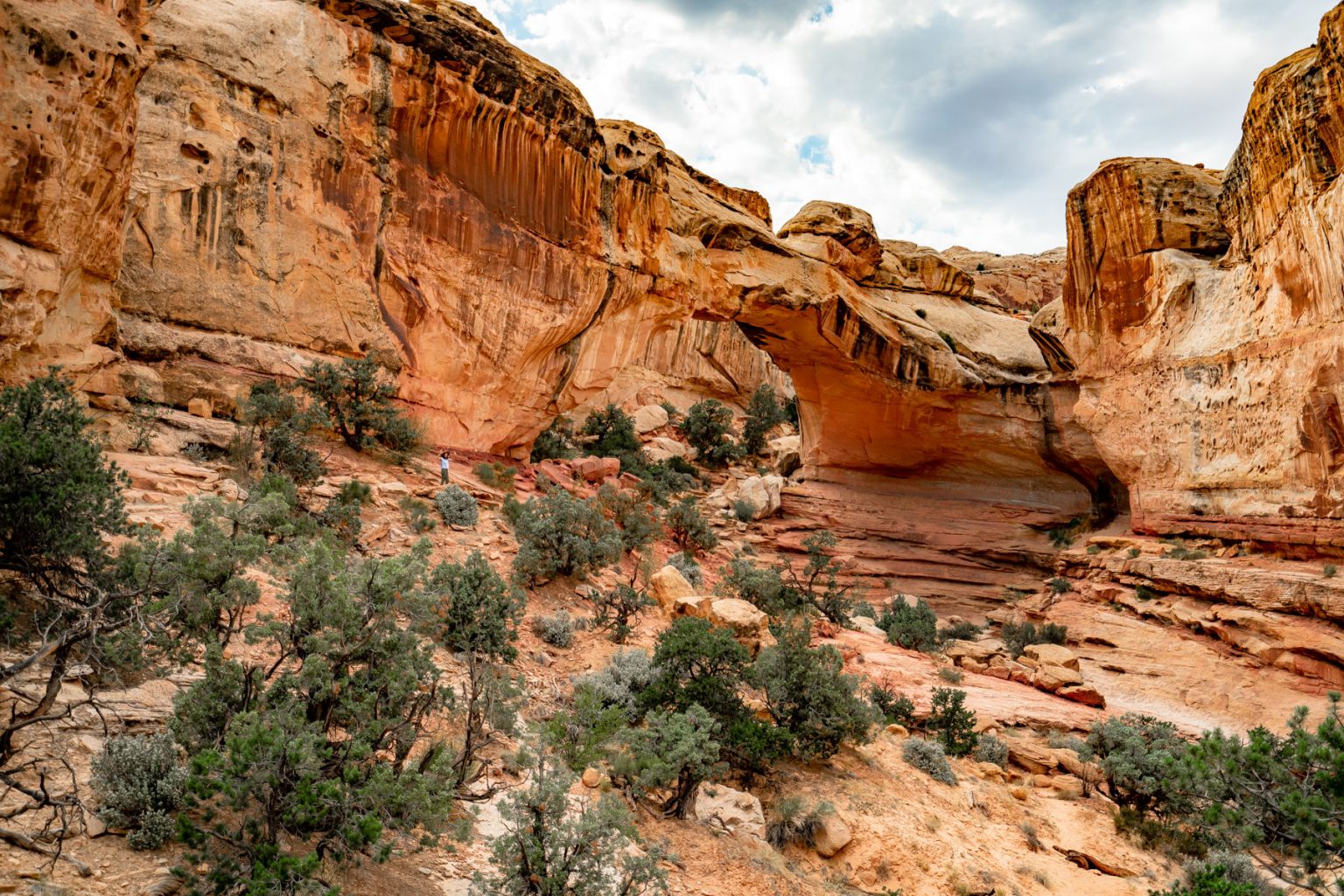 7 STUNNING Hikes at CAPITOL REEF NATIONAL PARK