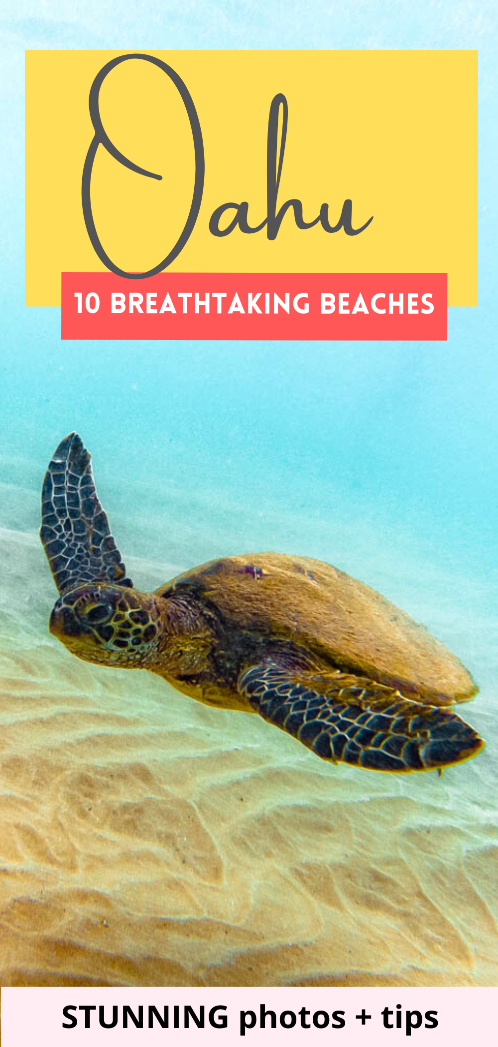 TOP 10 BREATHTAKING Beaches on Oahu You Must See for Yourself