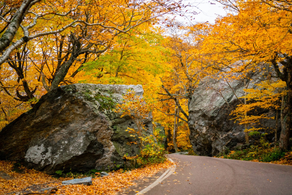 10+ FESTIVE Things to Do in VERMONT During FALL (+Tips)