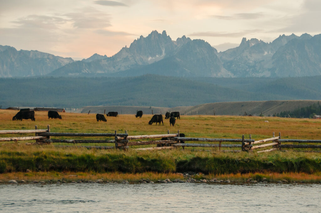 15 JAW-DROPPING States in America You Must See to Believe