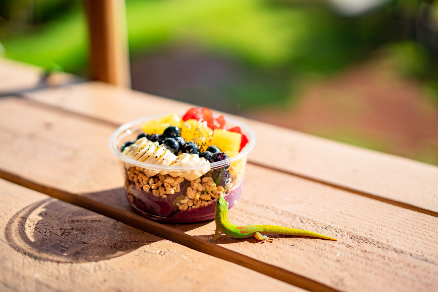 10+ SATISFYING Açaí Bowls on Oahu (Worth the Calories)