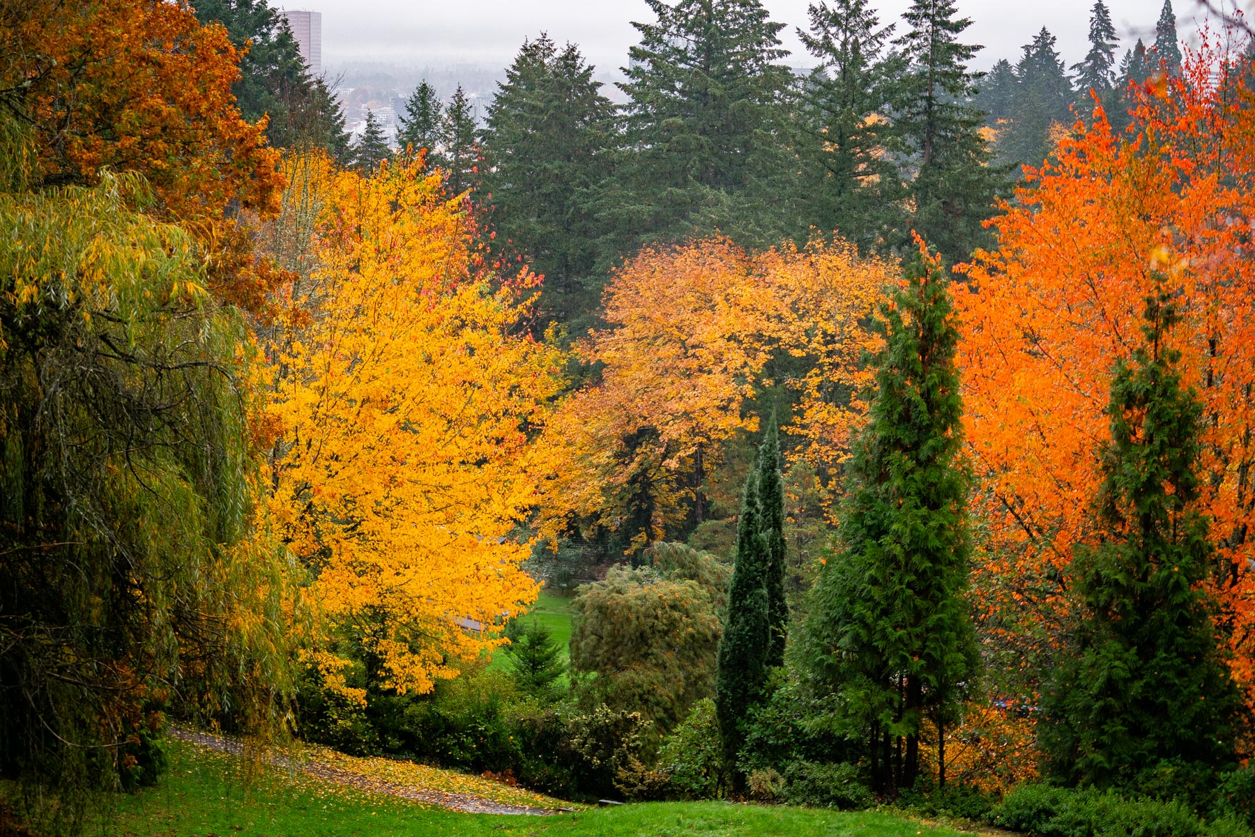 15 STUNNING Spots for Fall Color in Portland, Oregon (+Photos)